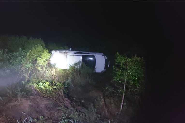 Por la neblina no lograron divisar una curva y terminaron despistando ...