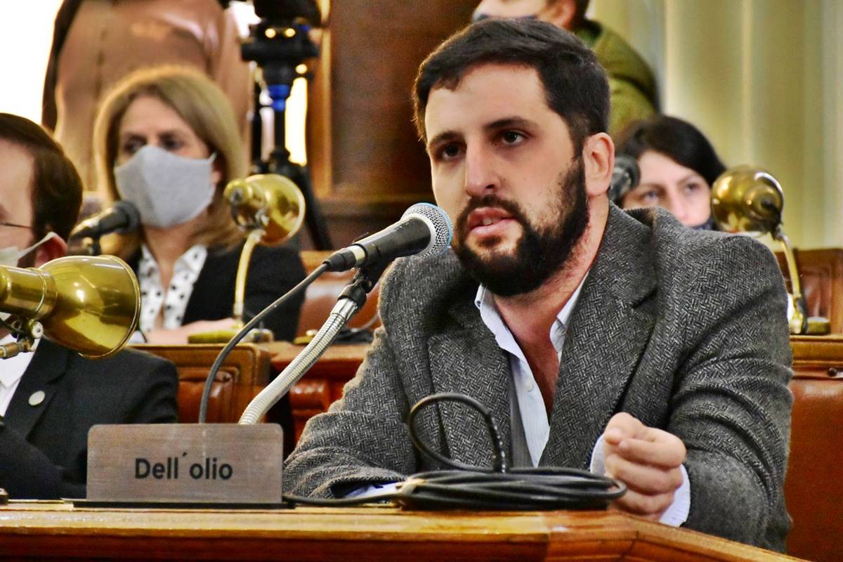 Dell’Olio detalló que conflictos canalizaría su iniciativa de un Centro ...