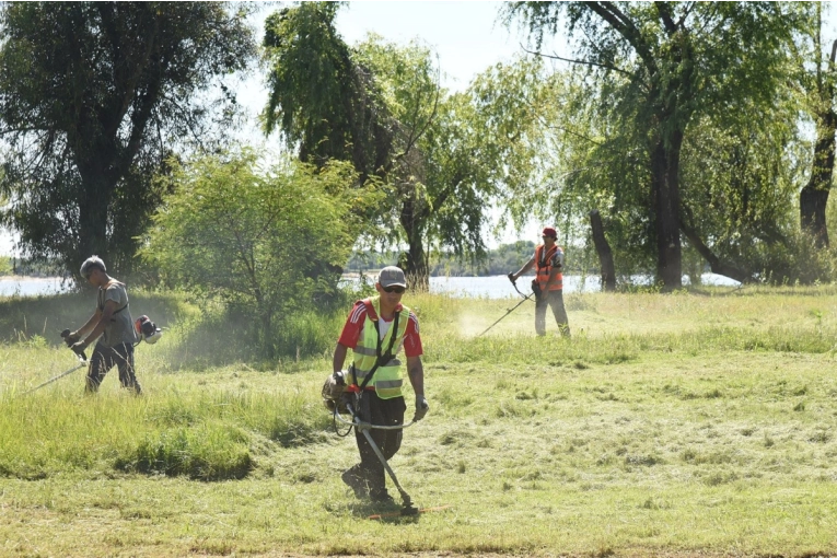 Trabajos para la puesta a punto de las playas Banco Pelay y Paso Vera ...